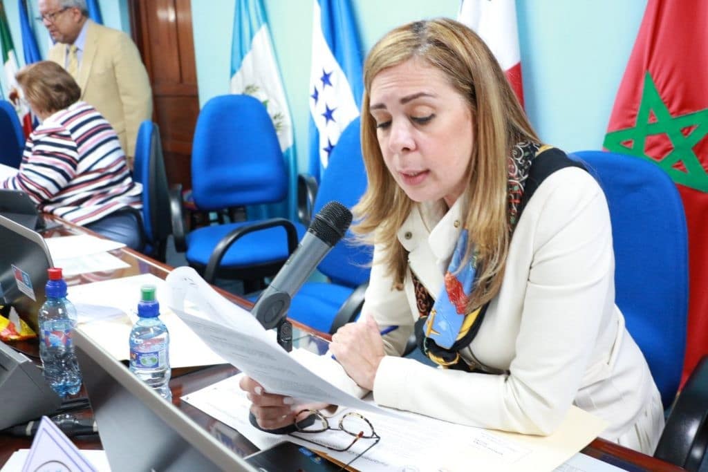 Sergia Elena, de atacar a Leonel a ser su candidata vicepresidencial ...