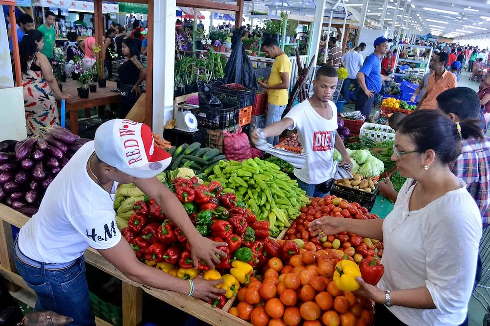 Precios de los alimentos son cada vez más caros en la República ...