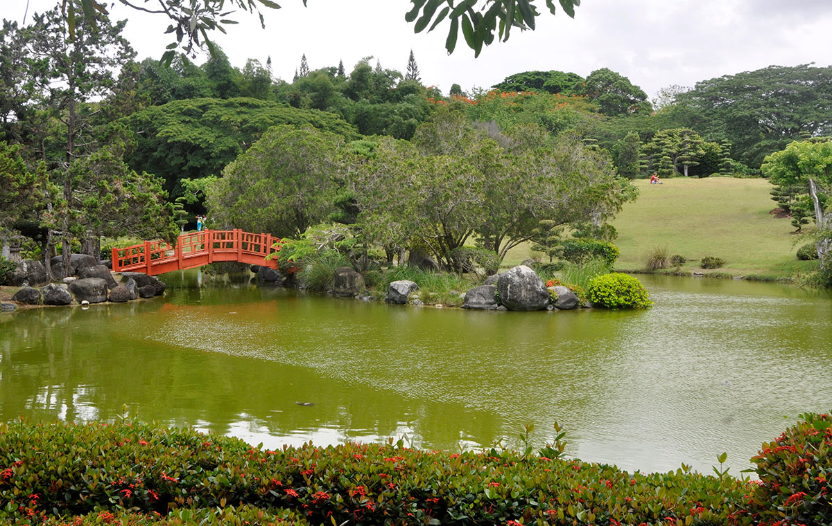 Experto en medio ambiente recomienda dejar Jardín Botánico como está ...