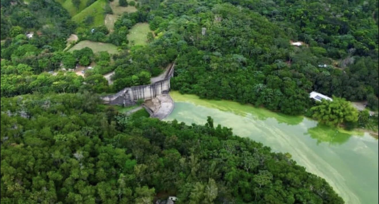 Inquieta en Cotuí que aguas de presa de Hatillo cambiaran a verde olivo ...